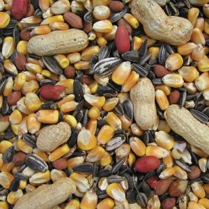 Critter Munchies - Cole's Wild Bird Seed